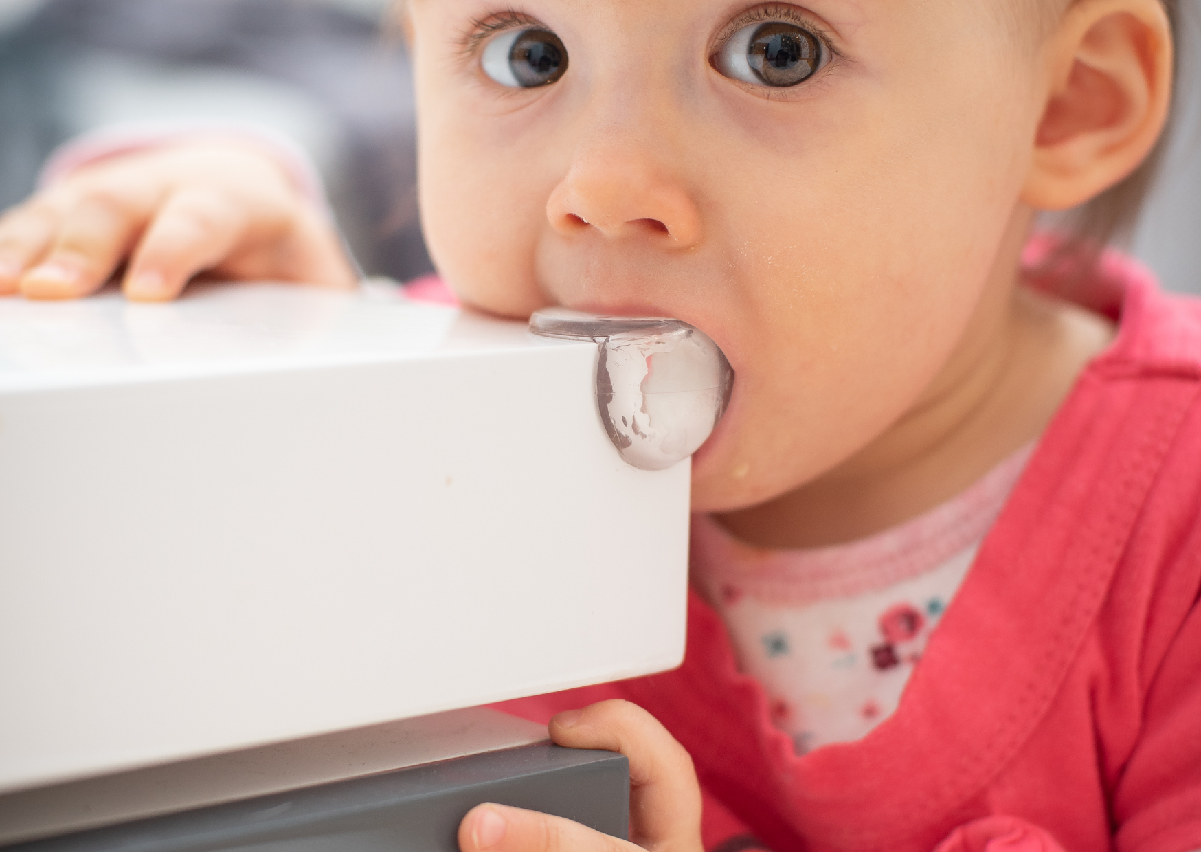 Biting: what to do when your child is biting others - Kebudel